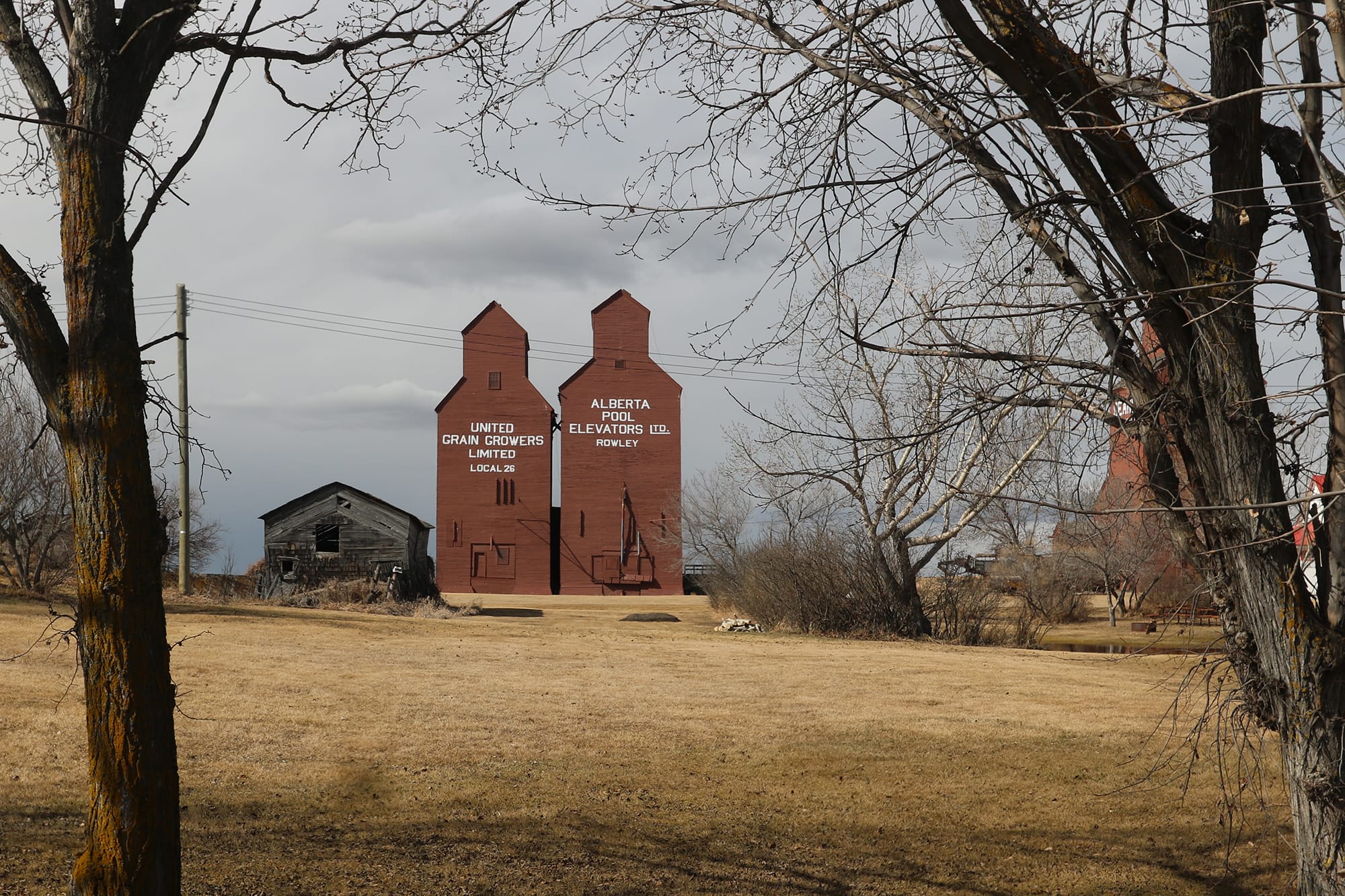 Rowley by Ocheller - Ocheller